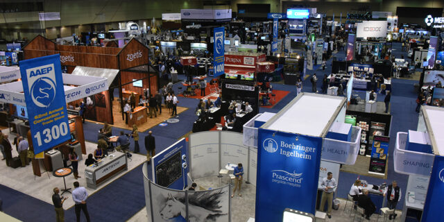 6 things you need for a trade show - Weird Worm