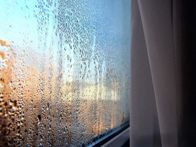 The Best Things You Should Do About Windows Condensation - Weird Worm