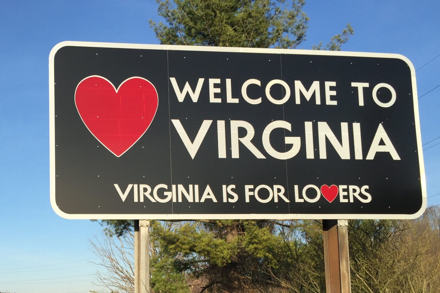 6 Most Famous People Born In Virginia - Weird Worm