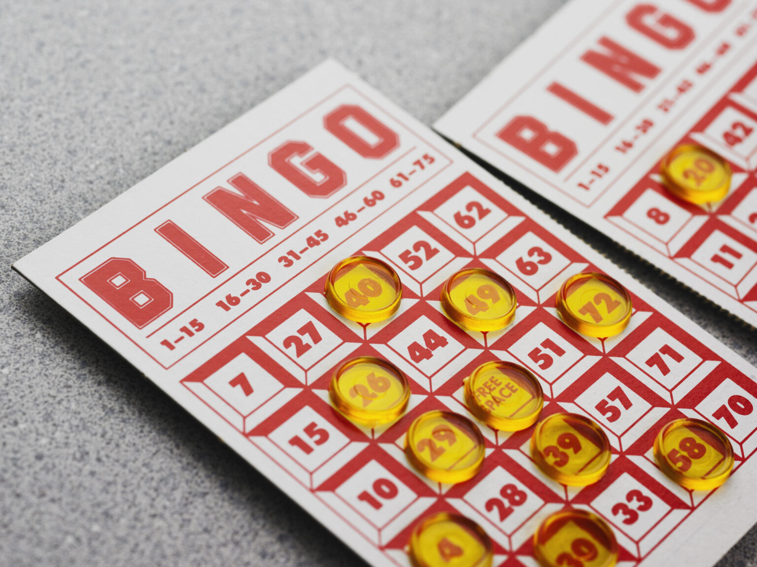 14 Funny Bingo Calls That are Still Used - Weird Worm