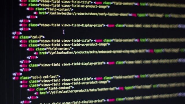 7 Best Programming Fields for Successful Career - Weird Worm