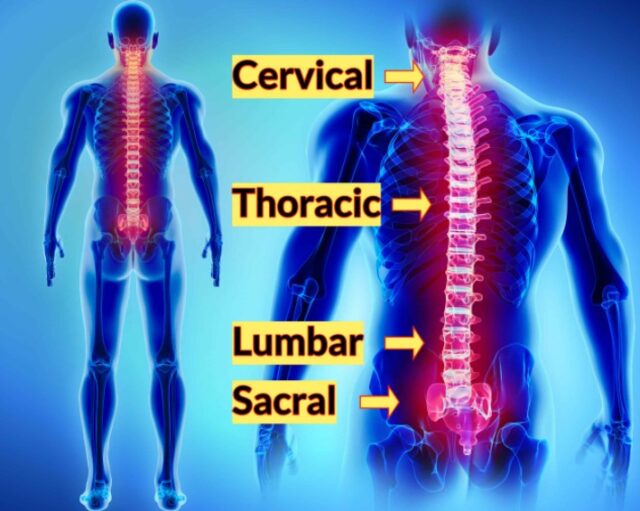 4-Step Guide Of How To Use A Saunders Lumbar Traction - Weird Worm