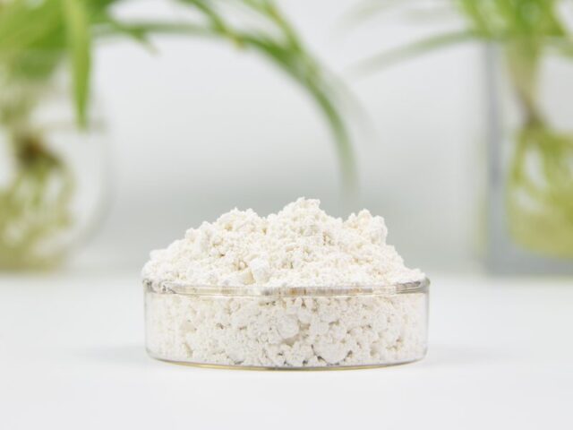 5 Advantages of Ecdysterone Supplements - Weird Worm