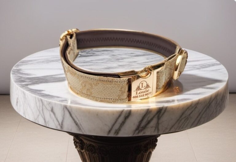 Exploring Top Dog Clothing Trends 2024 ─ The Rise of Designer Dog ...